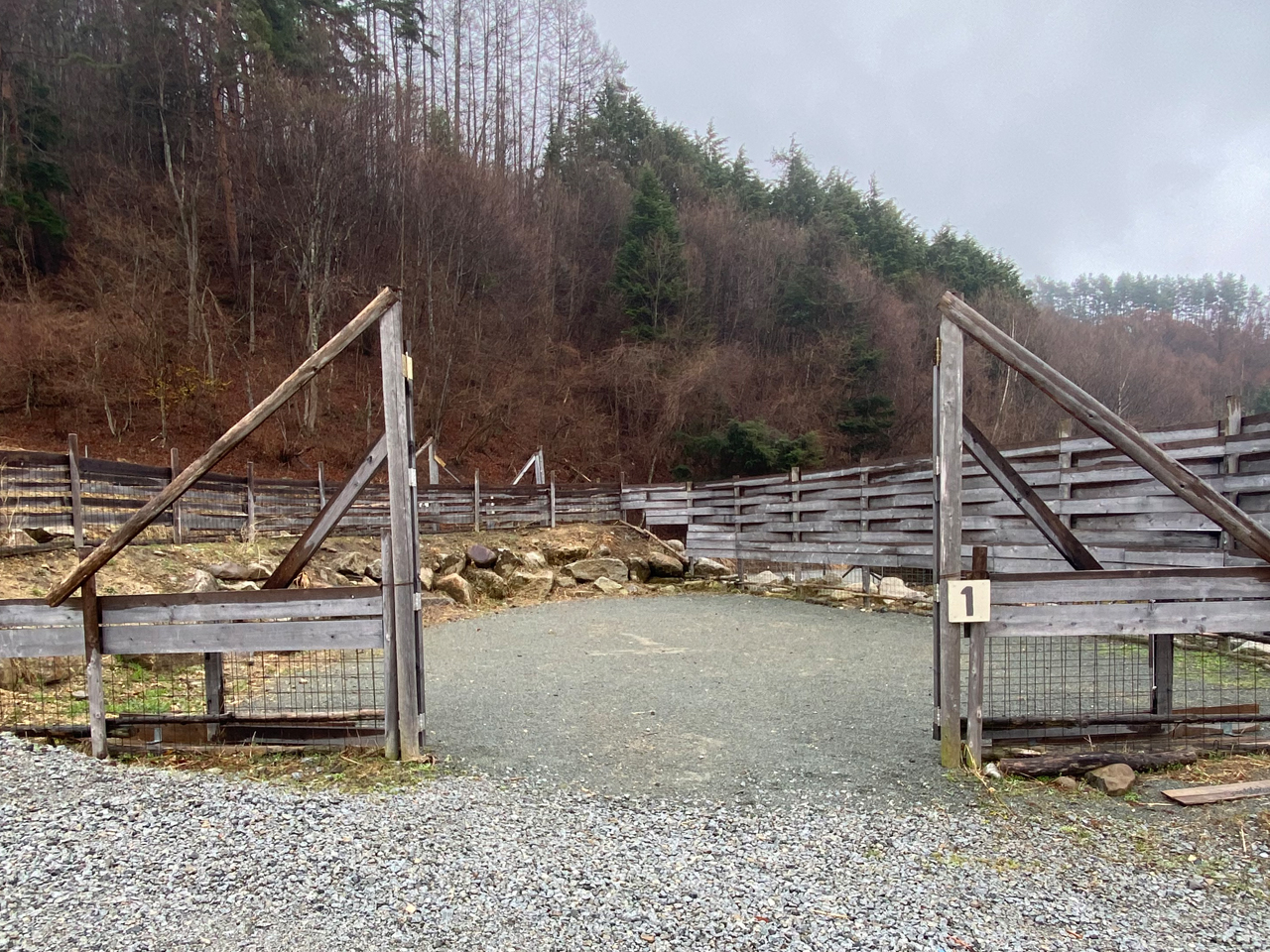 7inch CAMP（2024/4/5-4/6） | SoloSolo